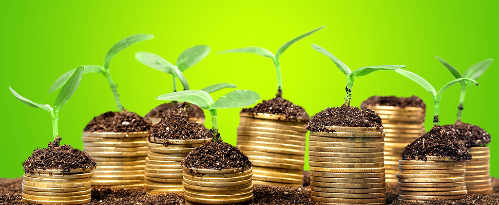 Comptes - FirstBank Guinea